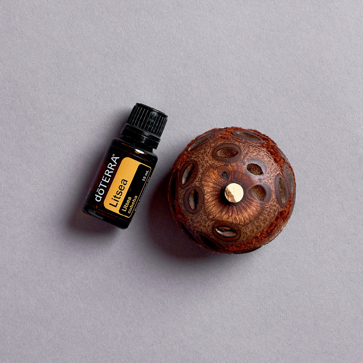 Banksia Pod Diffuser + doTERRA Litsea 15ml – Wild Lotus Oils Australia